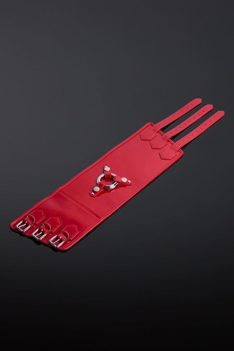 Scarlatta Strap On Thigh Harness – House of SXN